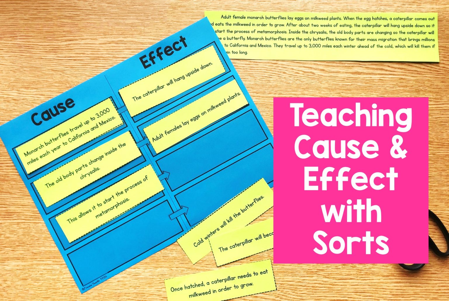Cause and Effect 3rd, 4th, & 5th Grade Activities - Thrifty in Third Grade