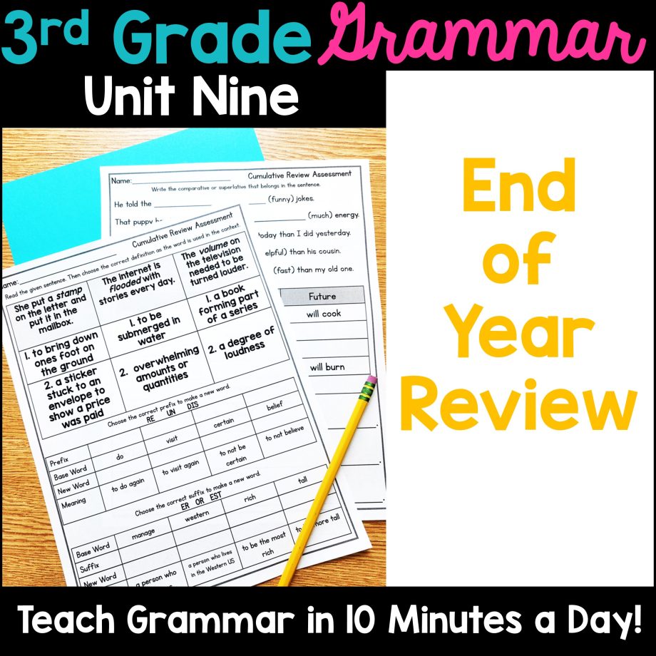 3rd Grade Grammar Lessons and Assessment: End of Year Review - Thrifty ...