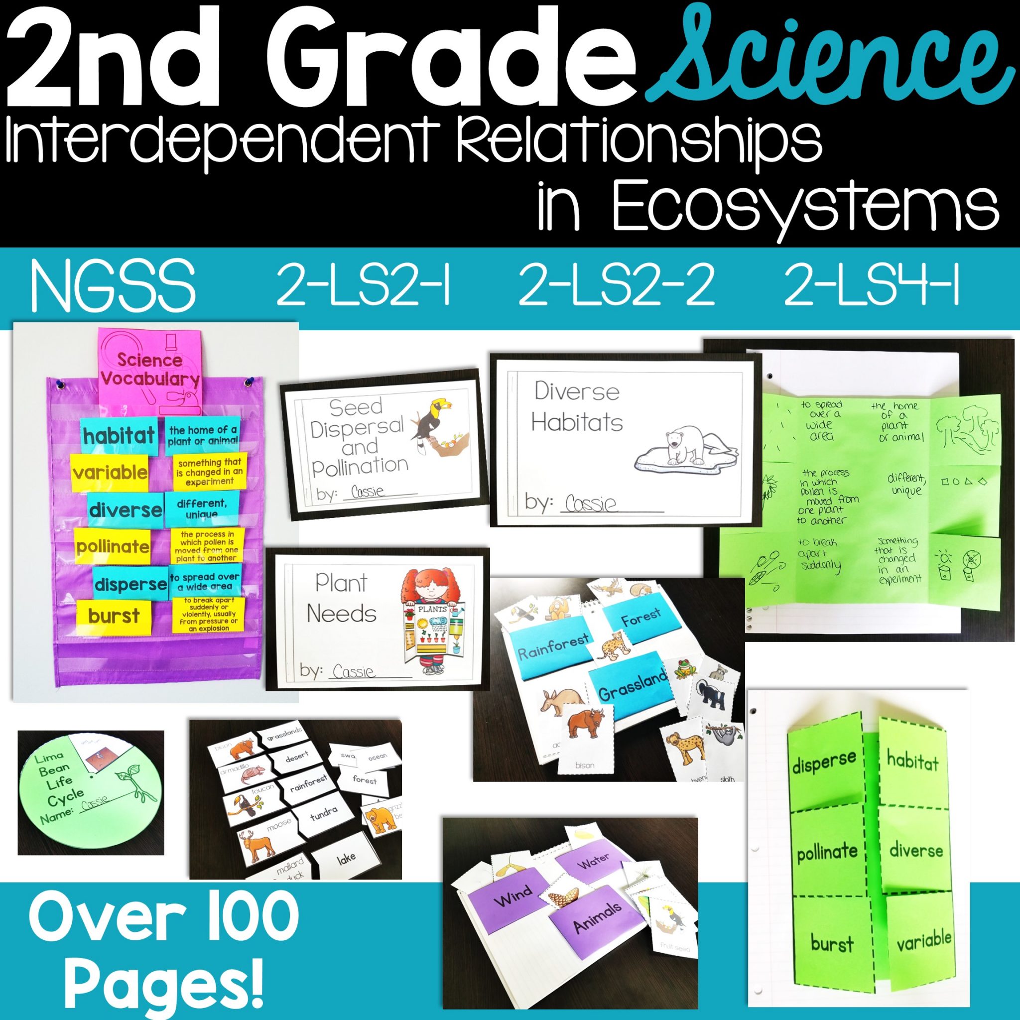 3rd Grade Force and Motion Worksheets and Activities {NGSS 3-PS2-1, 3 ...