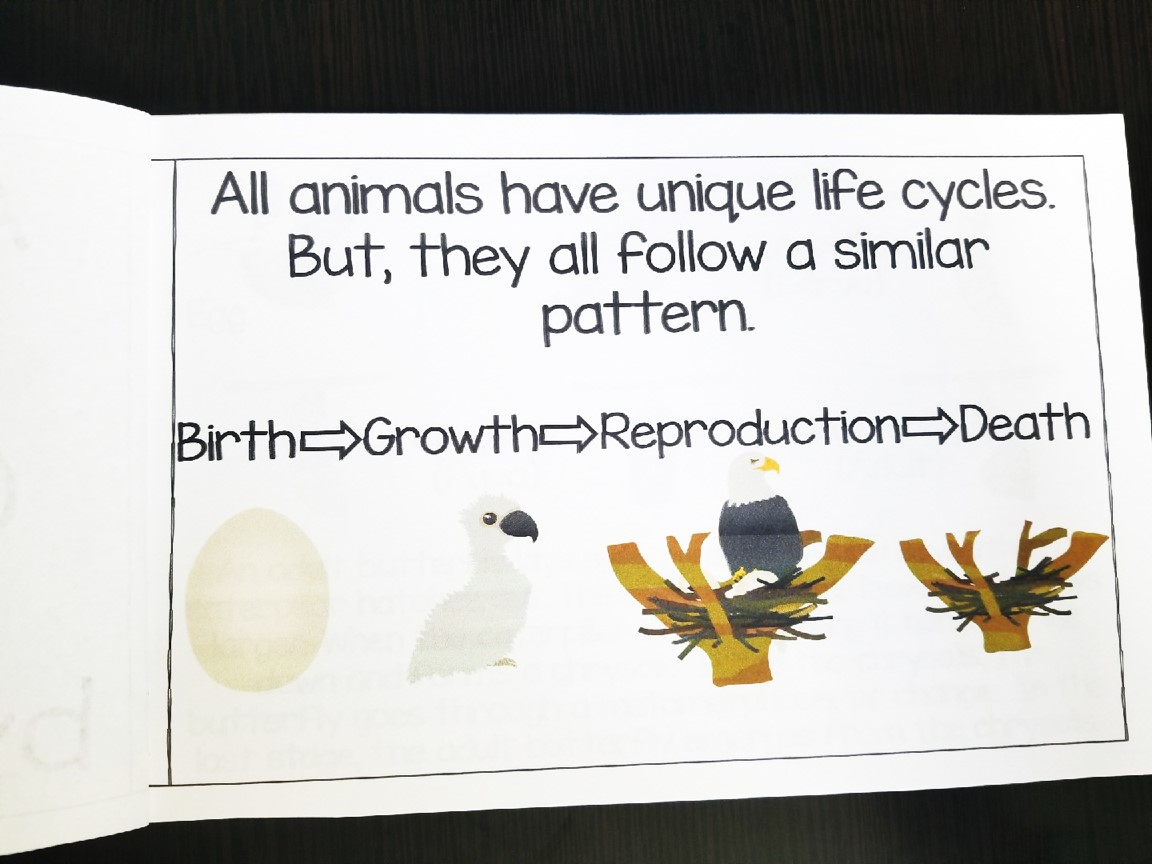 Plant and Animal Life Cycle Activities for Older Students - Thrifty in ...