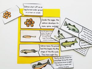Plant and Animal Life Cycle Activities for Older Students - Thrifty in ...