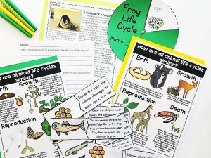 Plant and Animal Life Cycle Activities for Older Students - Thrifty in ...