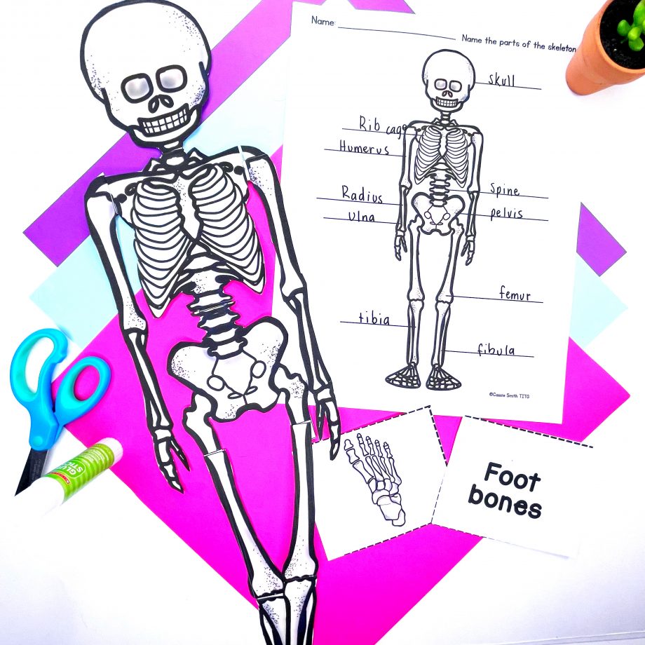 Skeletal System Mini Unit and Cut and Paste Skeleton Craft - Thrifty in ...