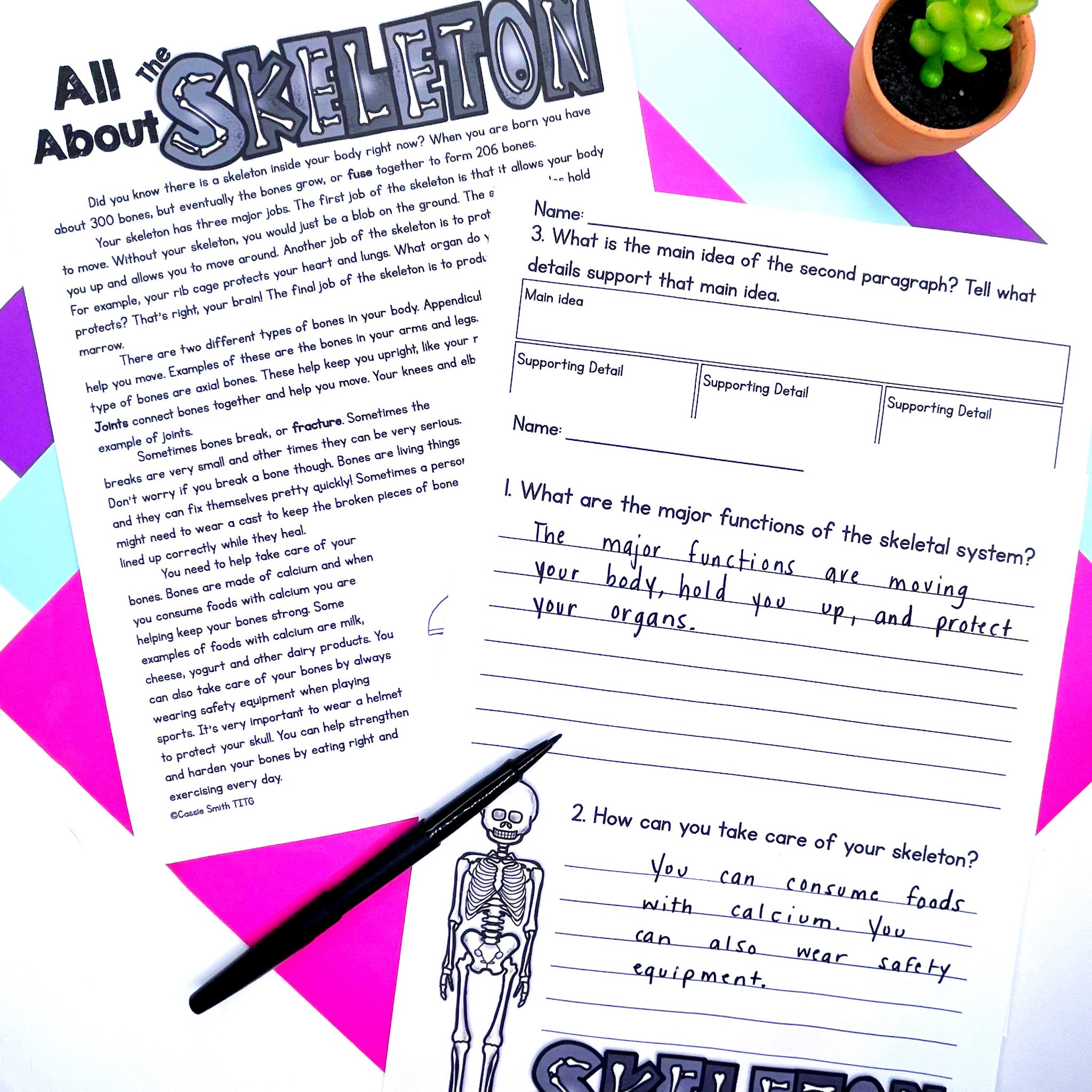 Skeletal System Mini Unit and Cut and Paste Skeleton Craft - Thrifty in ...