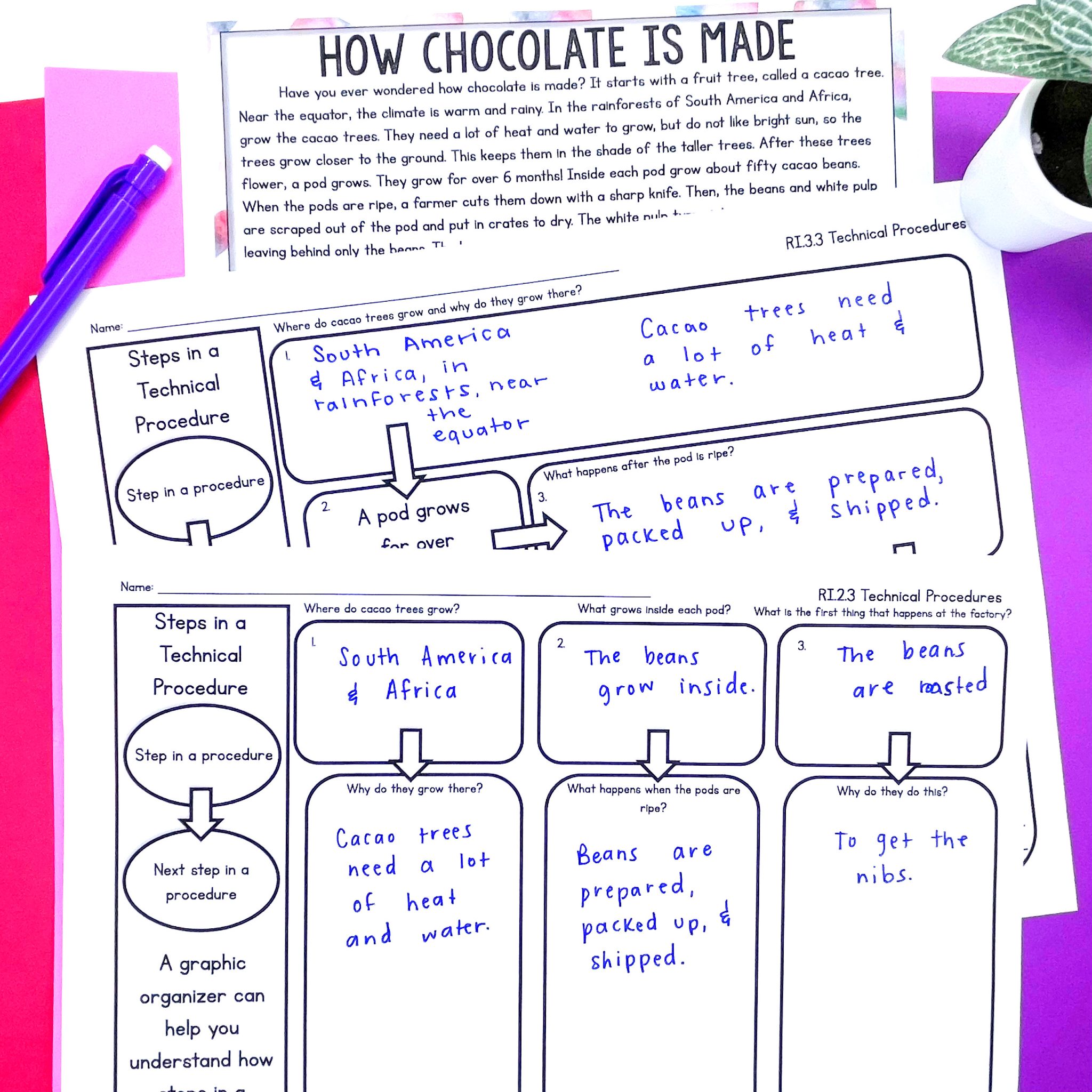 Fun Classroom Valentine's Day Activities for Elementary Students ...