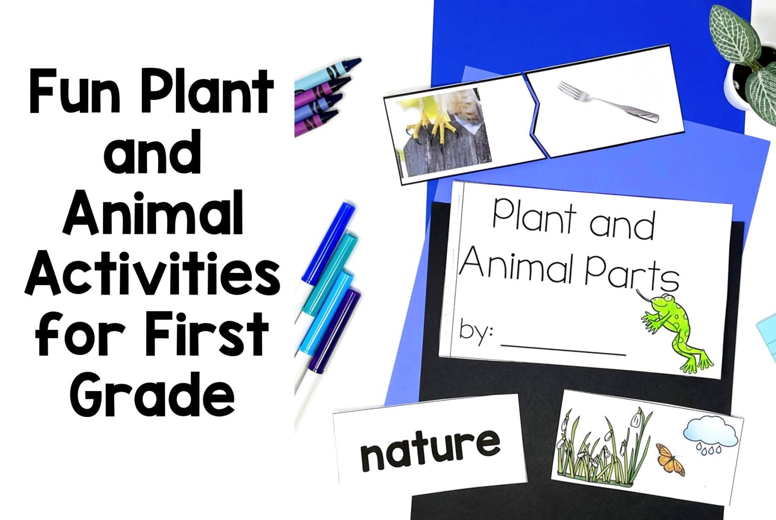 Fun Light and Sound Activities for 1st Grade - Thrifty in Third Grade