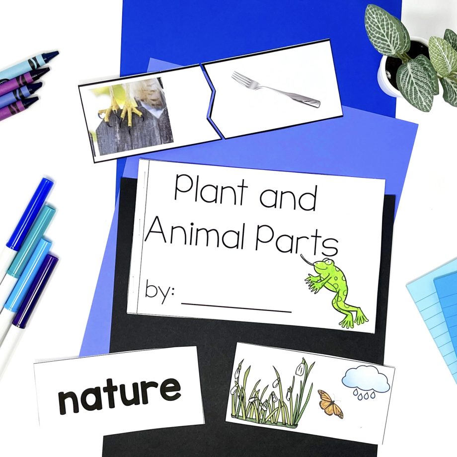 Fun 1st Grade Plant and Animal Activities - Thrifty in Third Grade