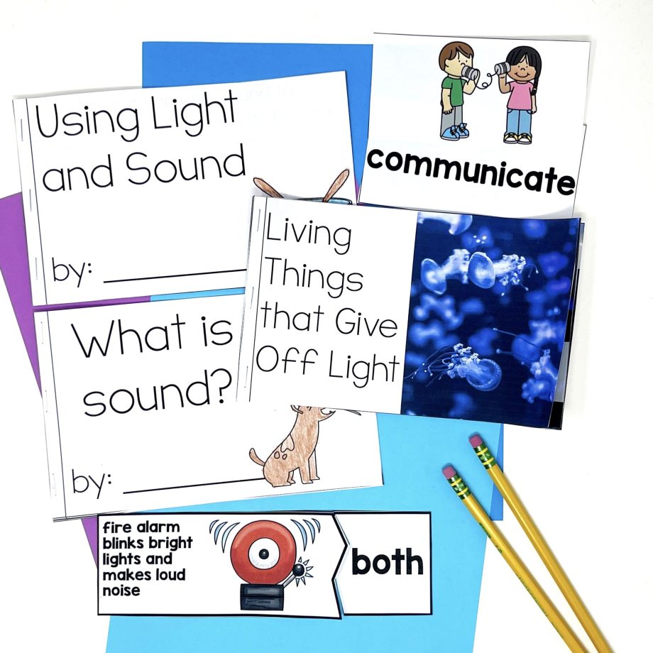 Fun Light and Sound Activities for 1st Grade - Thrifty in Third Grade