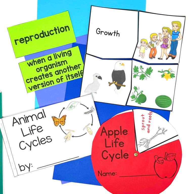 Fun 3rd Grade Life Cycles and Inherited Traits Activities - Thrifty in ...