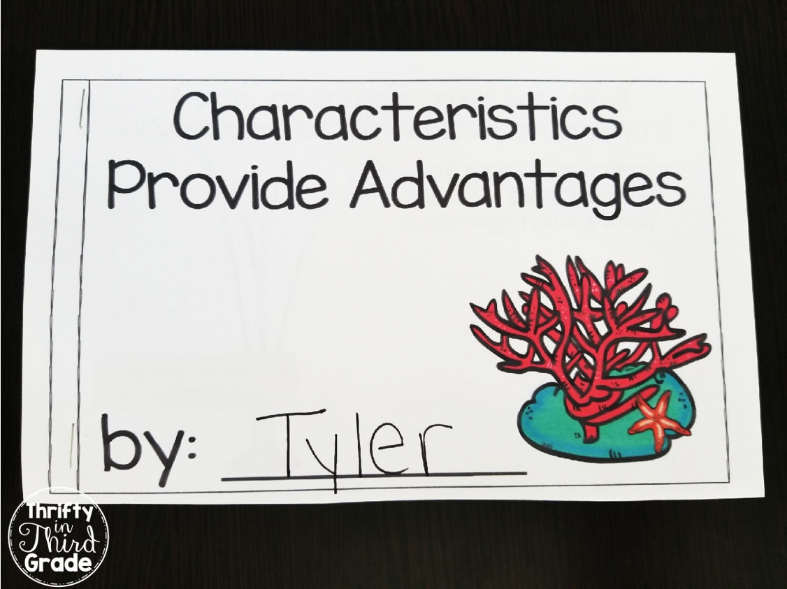 Fun 3rd Grade Life Cycles and Inherited Traits Activities - Thrifty in ...