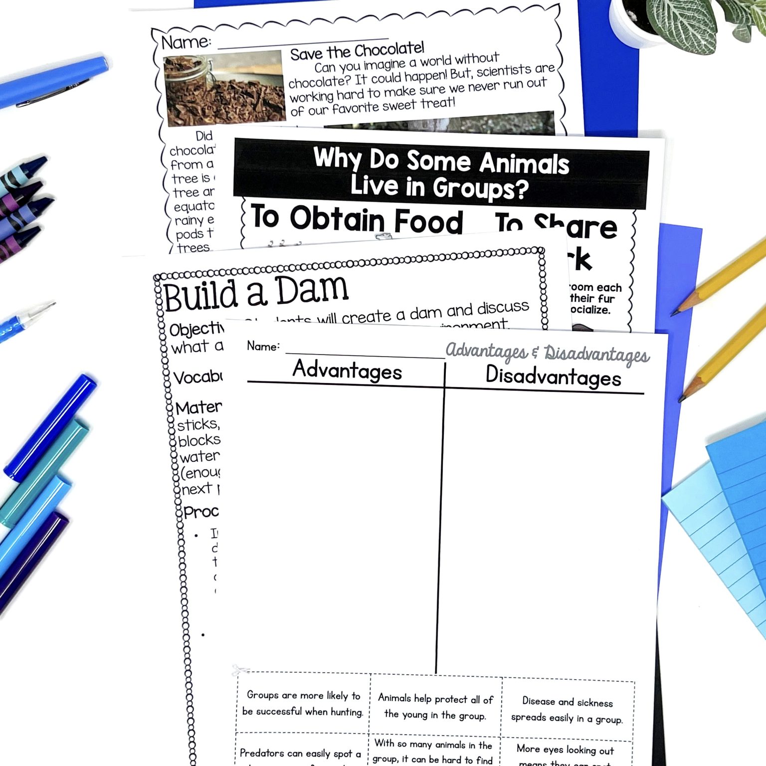 3rd Grade Ecosystems: Fun Activities for Fossils, Adaptations, and ...