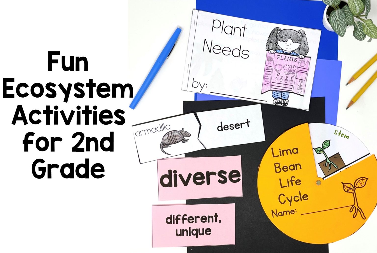 Fun Landforms and Bodies of Water Activities for 2nd Grade - Thrifty in ...