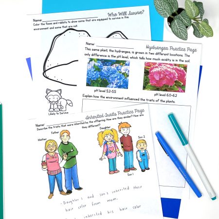 Fun 3rd Grade Life Cycles and Inherited Traits Activities - Thrifty in ...