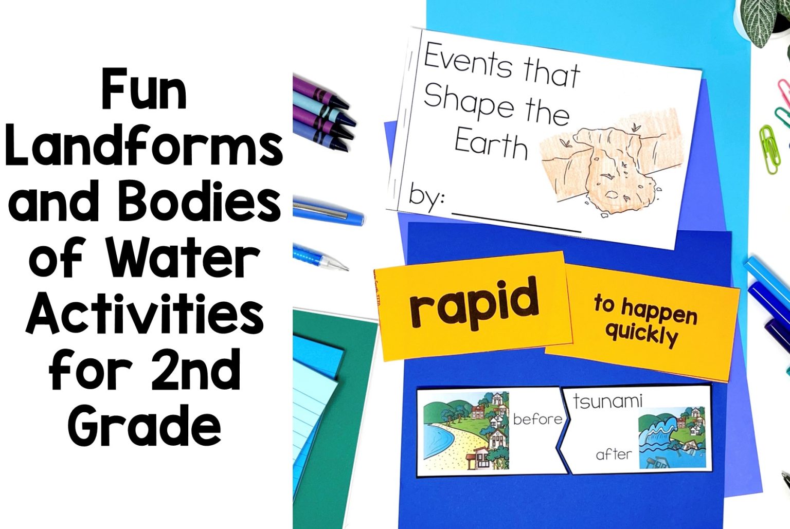 Fun Ecosystem Activities for 2nd Grade - Thrifty in Third Grade