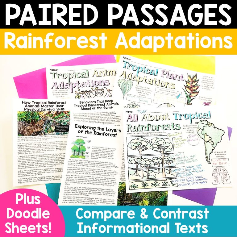 Best Animal Adaptations Activity and Worksheets - Thrifty in Third Grade