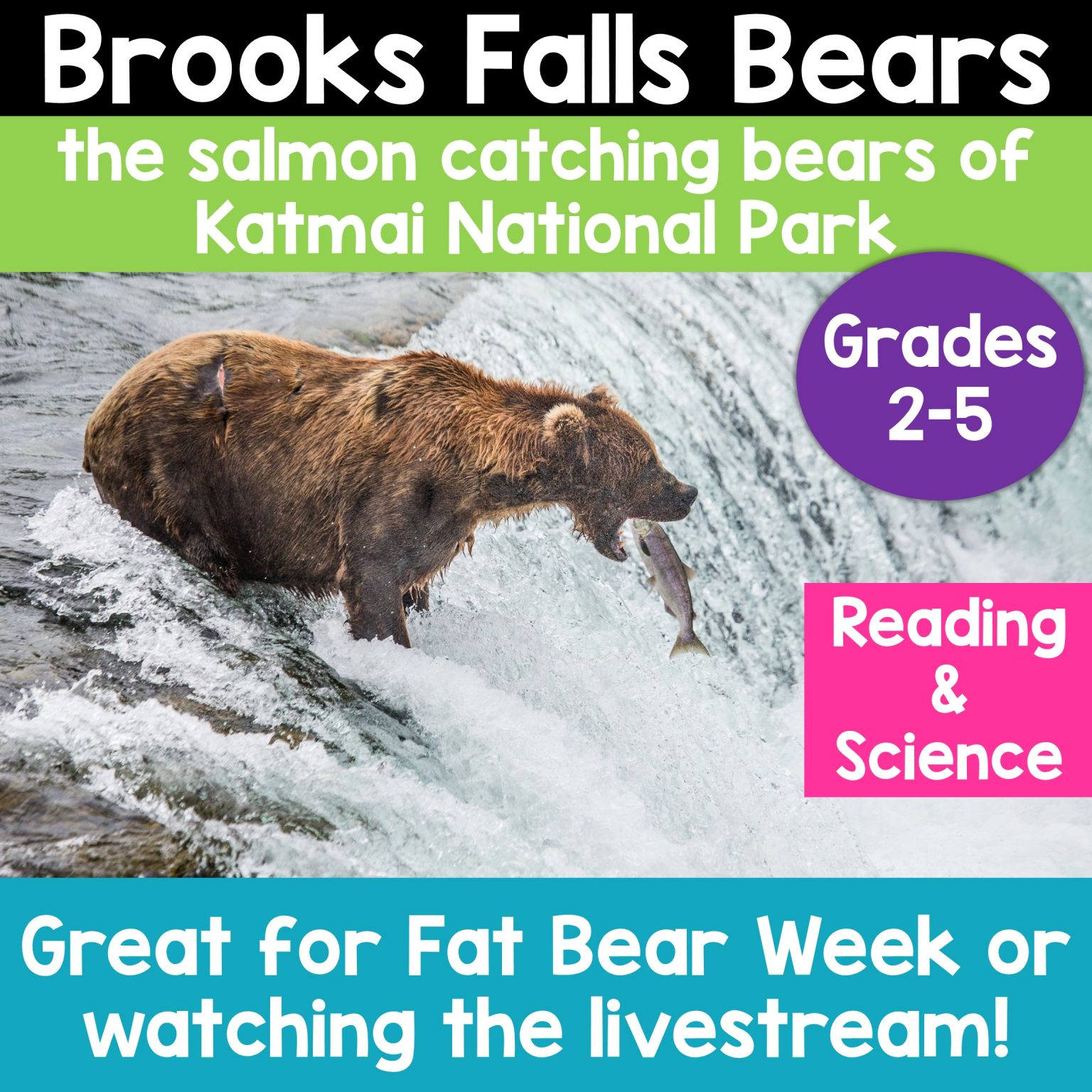 3rd Grade Force and Motion Worksheets and Activities {NGSS 3-PS2-1, 3 ...