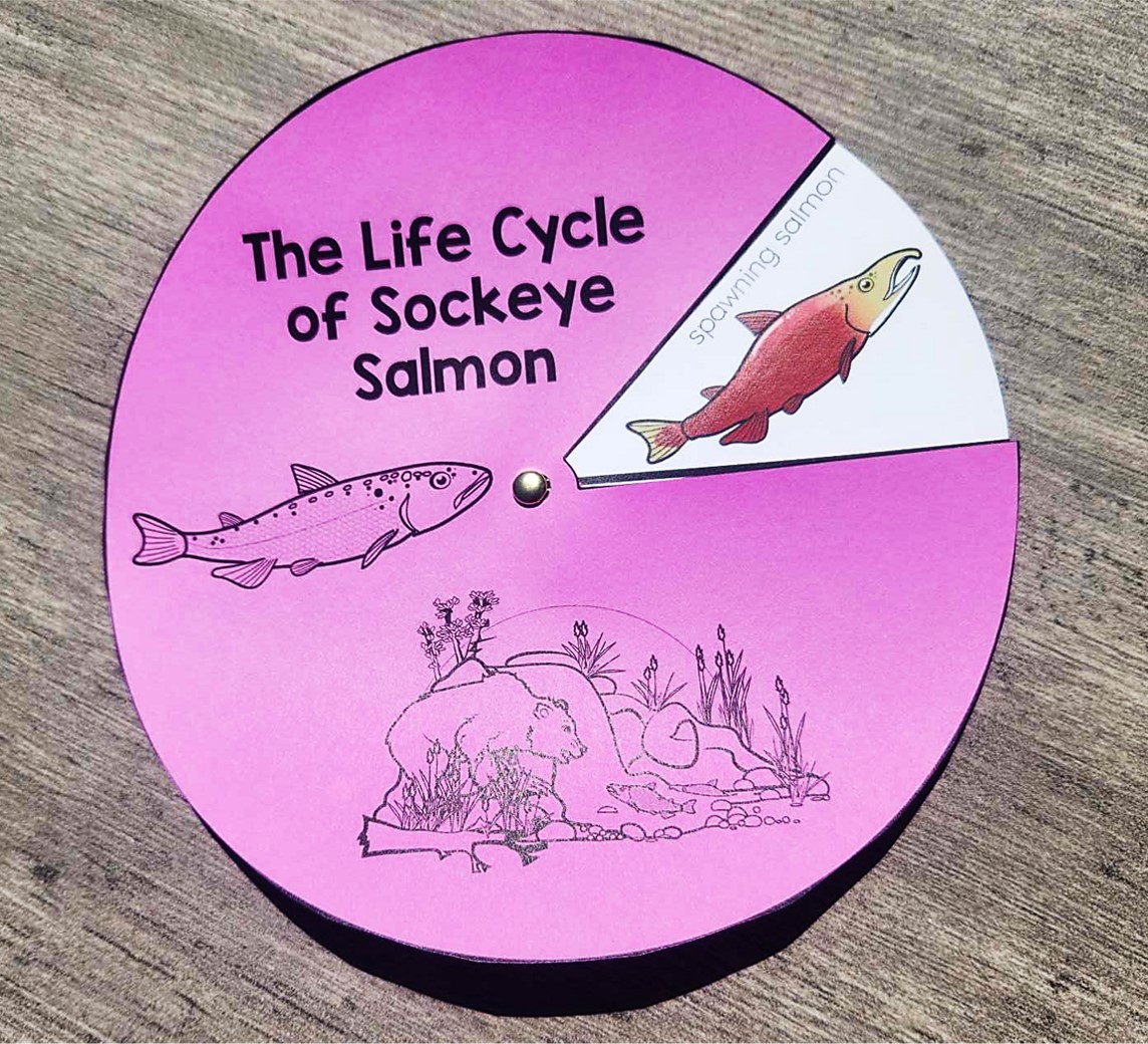 Educational Activities for Learning About the Bears of Brooks Falls at ...