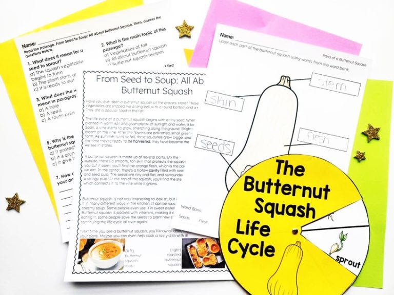 Fun Classroom Thanksgiving Activities for Math, Reading, Science, and ...