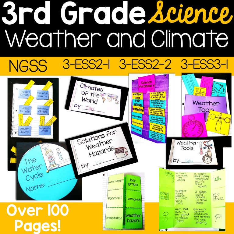 Weather Instruments for Kids - Worksheets, Activities, and Videos to ...