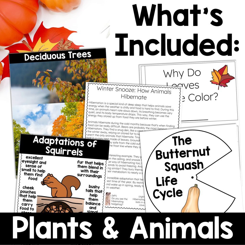Thanksgiving Science Worksheets No Prep Acitivities - Thrifty in Third ...