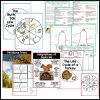 Thanksgiving Science Worksheets No Prep Acitivities - Thrifty in Third ...