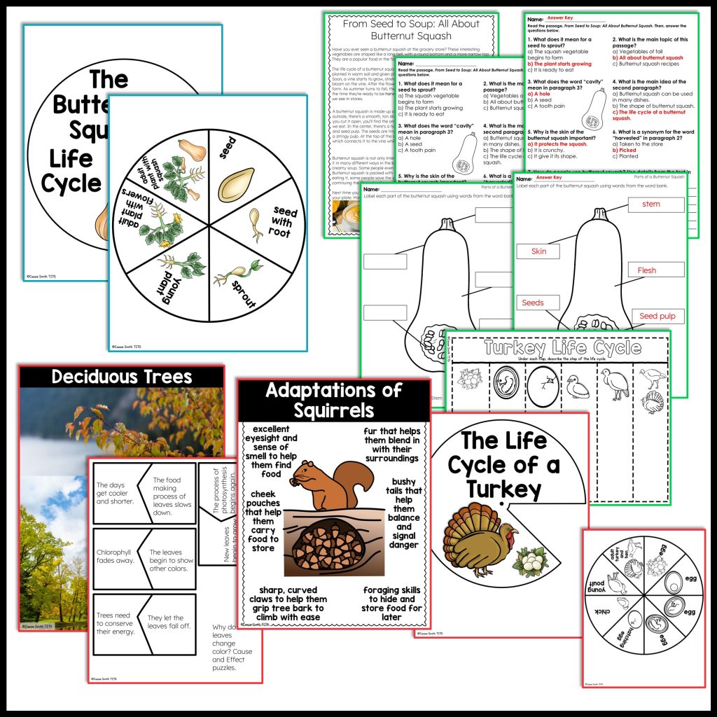 Thanksgiving Science Worksheets No Prep Acitivities - Thrifty in Third ...
