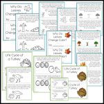 Thanksgiving Science Worksheets No Prep Acitivities - Thrifty in Third ...