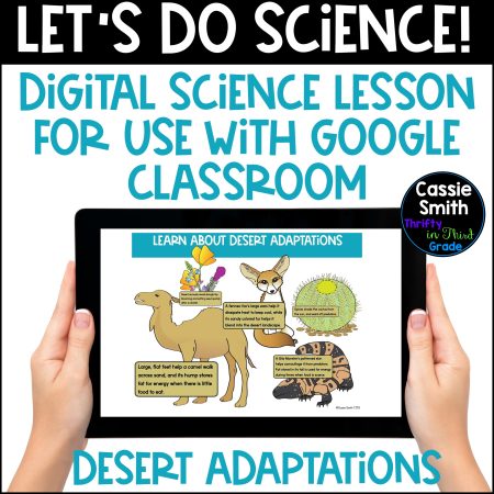 Best Animal Adaptations Activity and Worksheets - Thrifty in Third Grade